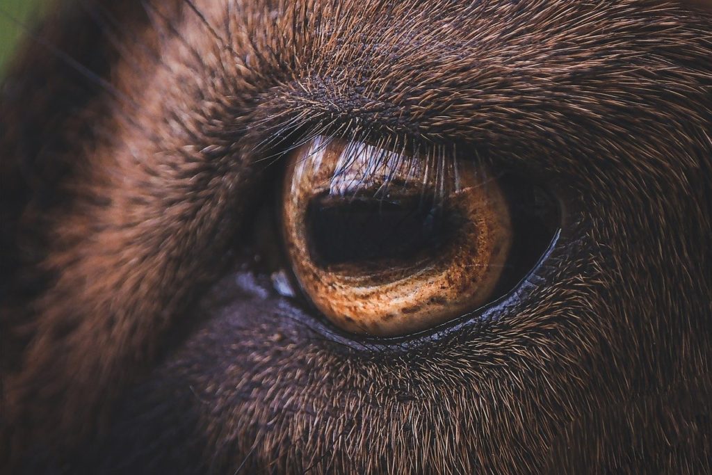 Le saviez-vous ? - Actualités, informations insolites et culture générale